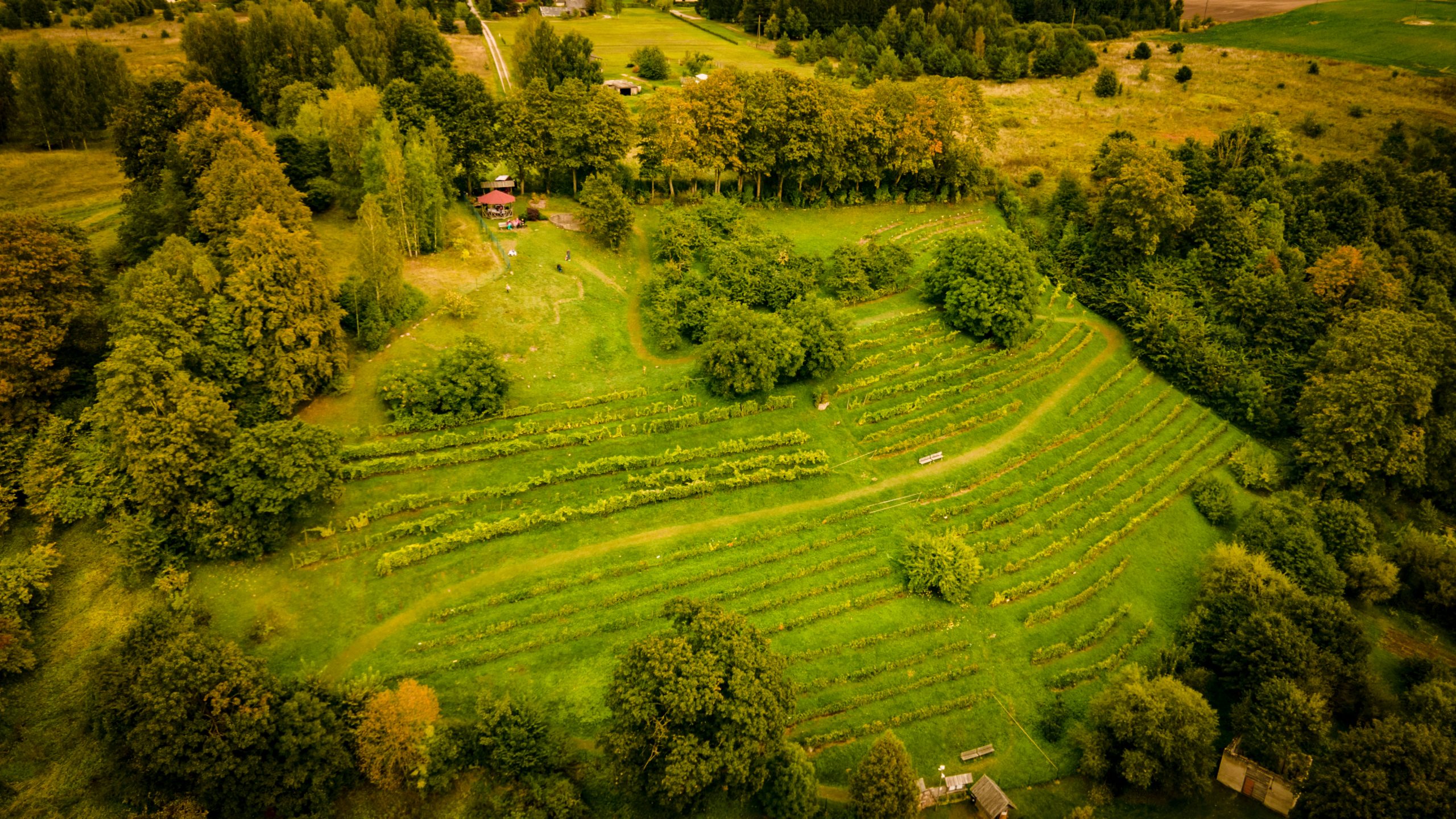 Sabile Wine Hill - Visit Talsi